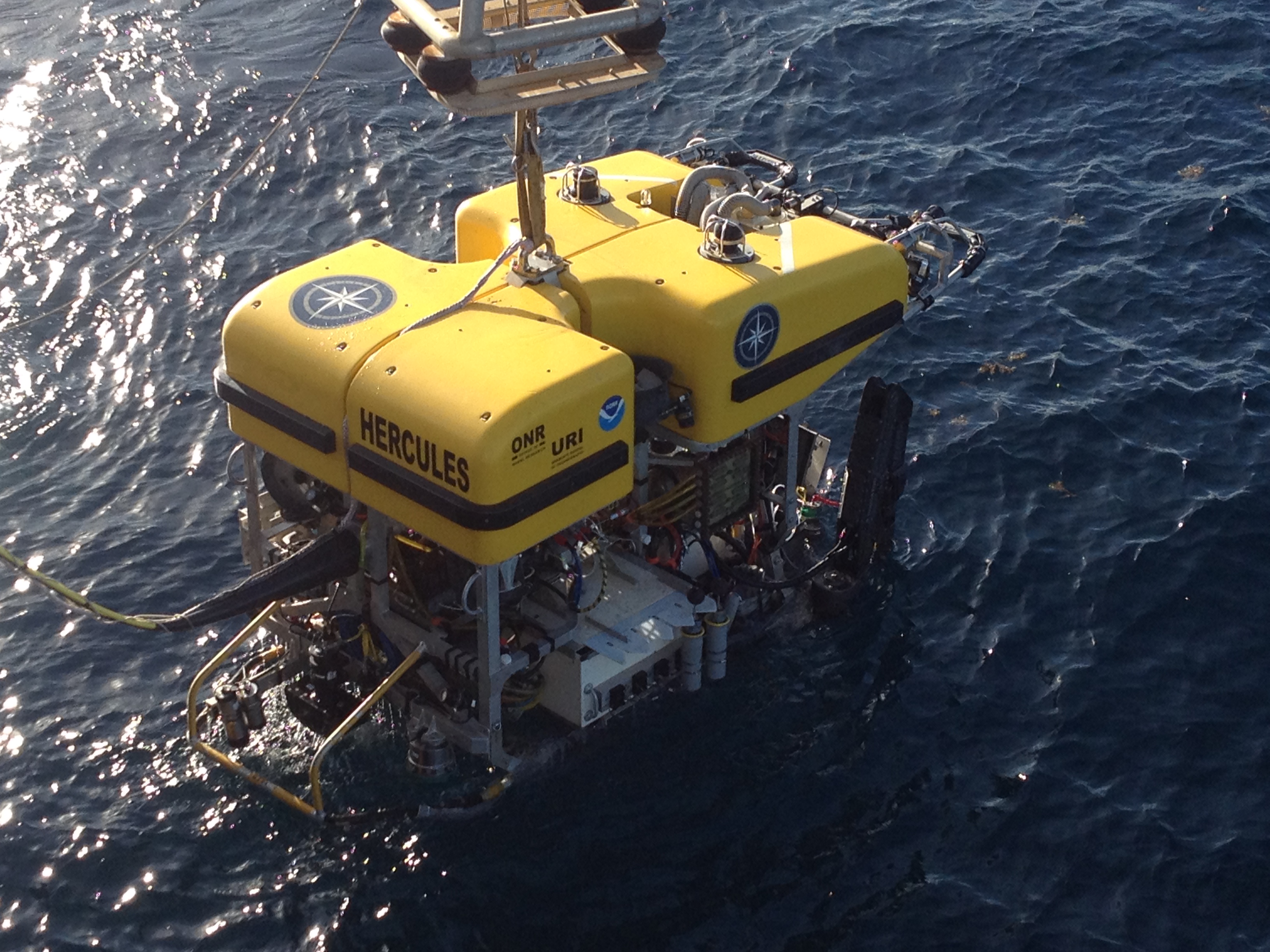 Caribbean Cold Seeps – Dr Diva Amon