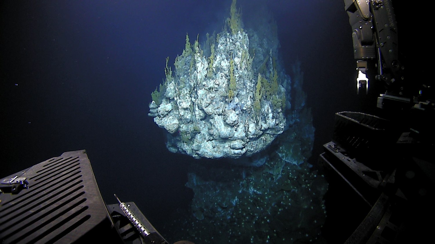 Understanding Human Impacts on the Deep Sea – Dr Diva Amon